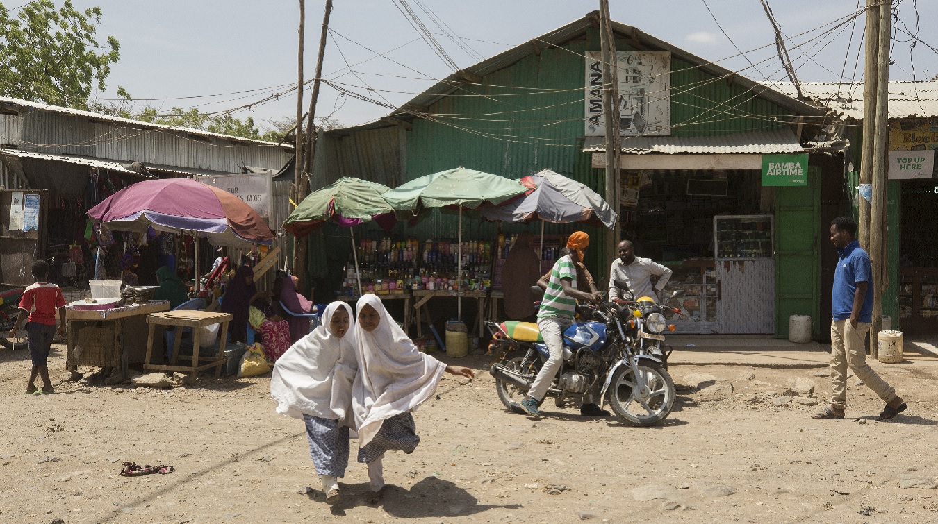 Low-income countries adopting sustainable finance - Better Society