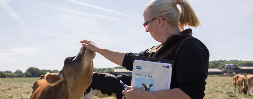 All M&S dairy farms become RSPCA assured - Better Society